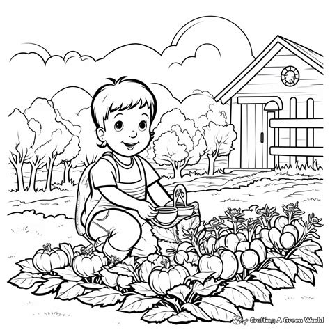 Vegetable Garden Coloring Pages Free And Printable