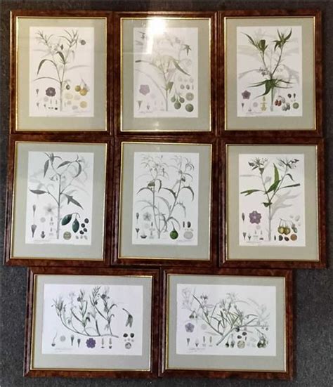 Gilbert Dashorst 1 Artworks At Auction Mutualart