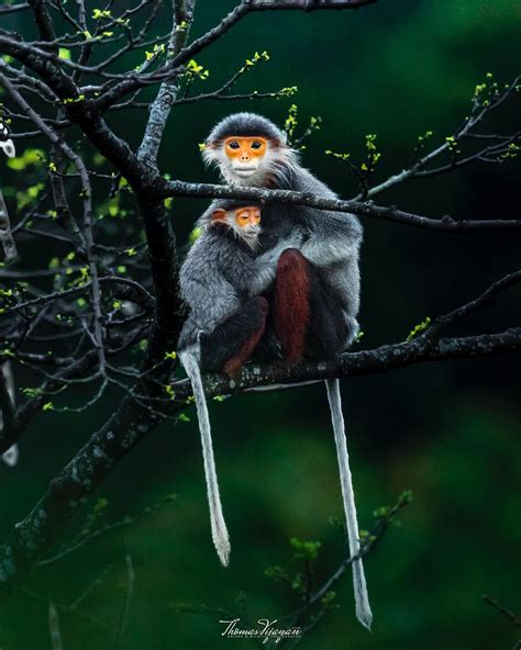 Thomas Vijayan Thomasvijayan • Instagram Photos And Videos