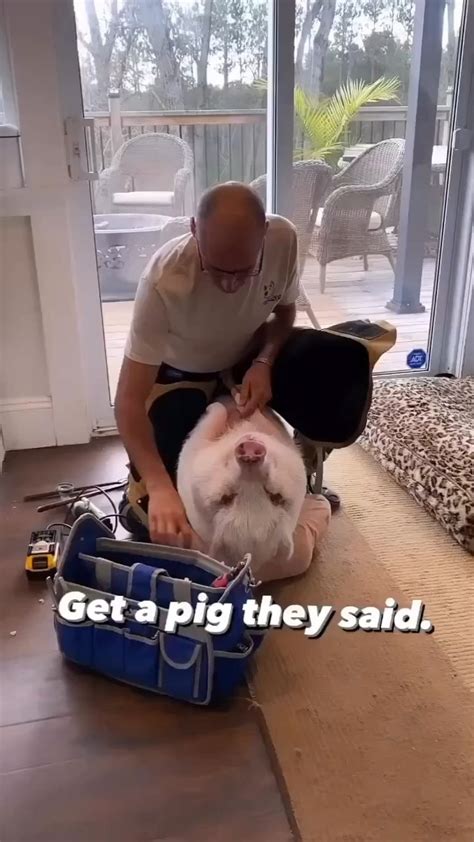 Over Dramatic Wunko R Wunkus