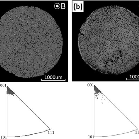 Schematic Diagram Of Directional Solidification Apparatus In The High