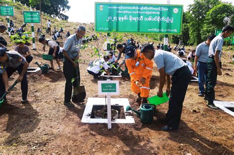 ကလိန်အောင်မြို့ ၌ မိုးရာသီ သစ်ပင်စိုက်ပျိုးပွဲတော် ကျင်းပ Information