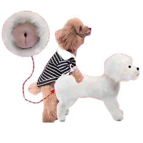 Silicone Dog Rubber Vent Toy For Indoor Use Oem Available Wholesale