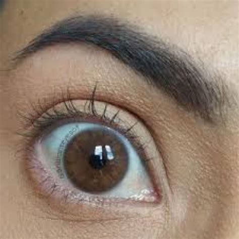 Colorcl Siesta Crystal Iris Hazel Lente De Contato Coreana Pronta Entrega Shopee Brasil