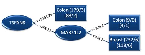 Exemplary Reptree Along With Training And Pruning Set Coverageerror