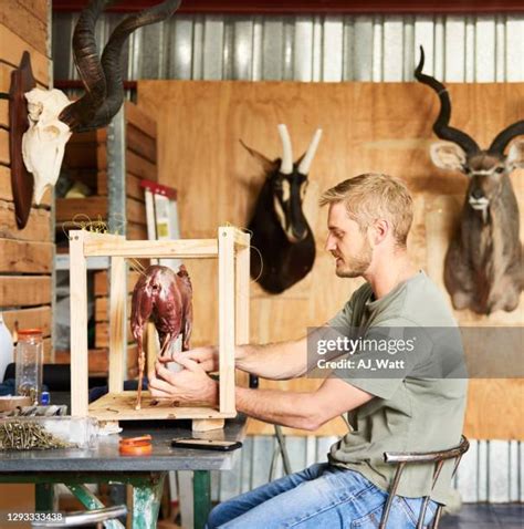 New Bucks Head Photos And Premium High Res Pictures Getty Images