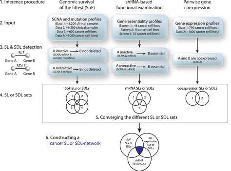Predicting Cancer Specific Vulnerability Via Data Driven Detection Of Synthetic Lethality Cell