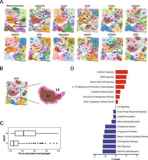 Unsupervised Spatially Embedded Deep Representation Of Spatial Transcriptomics Pmc