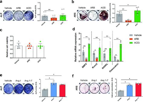Arbs But Not Aceis Inhibited Osteoblast Differentiation In Mouse