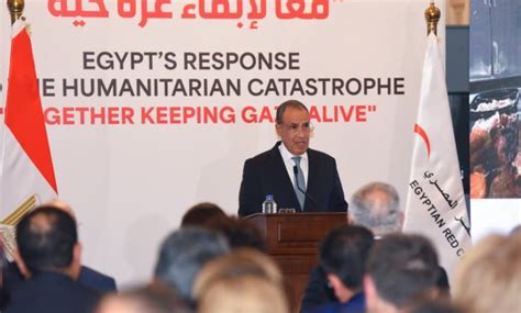 Fm Says Egypt Played Pivotal Role In Gaza Humanitarian Response