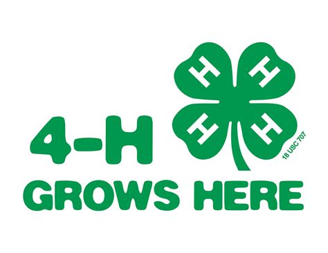 4 H Youth Development Kittitas County Washington State University