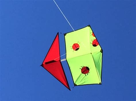 Roller Kite Oregon Kitemakers Retreat