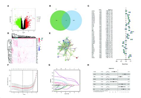 Identification Of Candidate Genes And Lasso Cox Analysis A Volcano