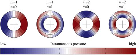 Instantaneous Pressure Distribution In An Axial Plane Of An Annular