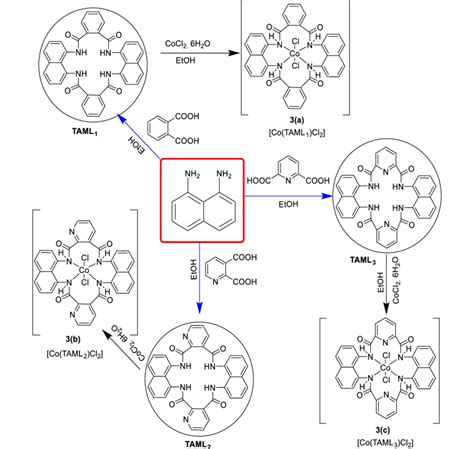 Scheme 1 Synthesis Of Amide Based Macrocyclic Ligands And Their Coii