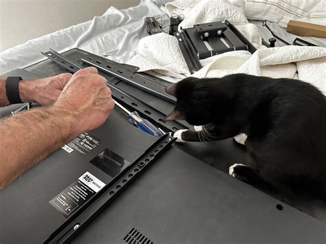 Repair Tech Kitten Rcatswithjobs