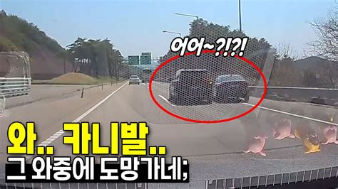 18654회 저도 모르게 욕이 튀어나왔습니다 경적을 빵빵~ 울리니까 갑자기 속도를 내더라고요 Youtube