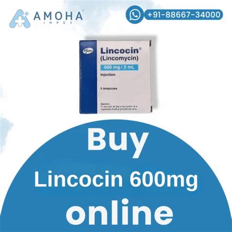 Lincocin Lincomycin 600mg 2ml Injection At ₹ 100 Vial In Surat Id 2852427071588