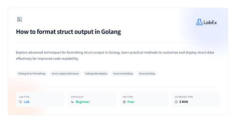 How To Format Struct Output In Golang Labex