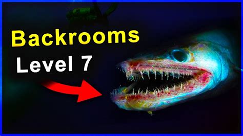 Backrooms Level 7 Explained Thalassophobia⚠️ Youtube