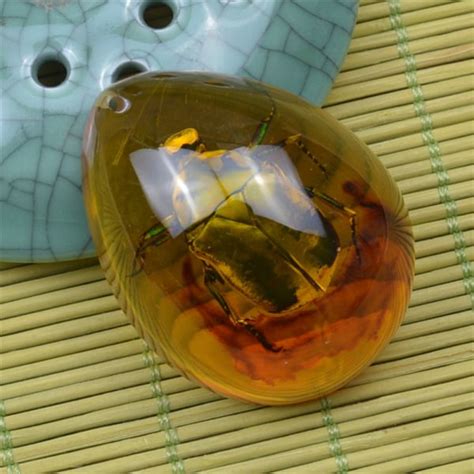 Butterfly Amber Stone Insekt Spcimen Hänge Beetle Beetle Beetle Fyndiq