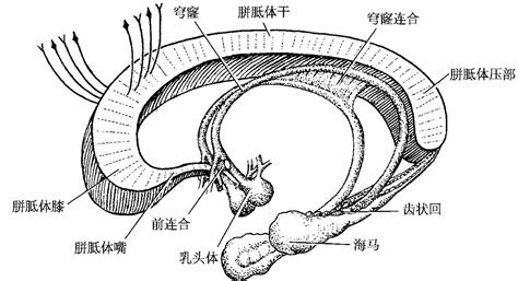Img357