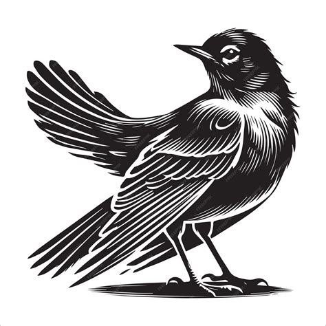 American Robin Bird Silhouette Clipart Design American Robin Vector
