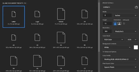 Choosing The Right Canvas Size For Digital Art