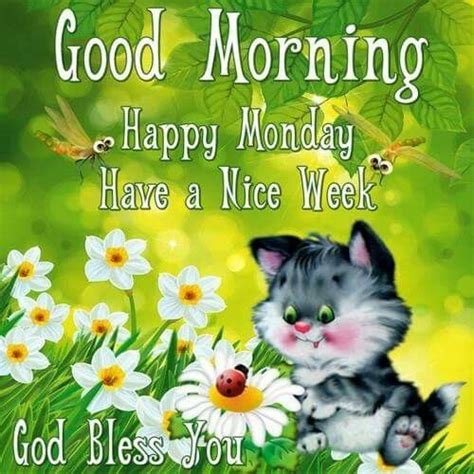 Good Morning Happy Monday Have A Nice Week Pictures Photos And