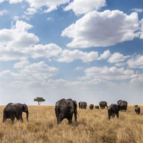 Through Your Lens Tanzanias Breathtaking Landscapes Huffpost The