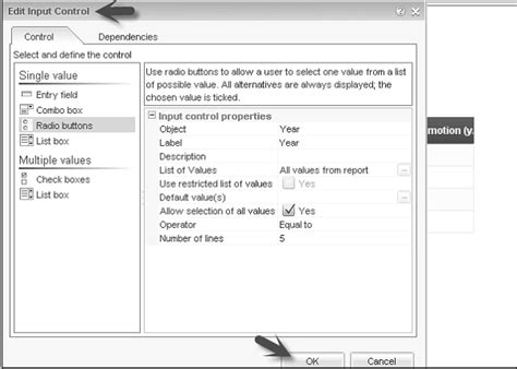 Sap Webi Input Controls