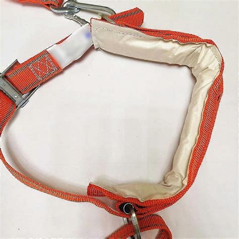 Tree Climber Tree Climbing Equipment Tree Climbing Spikes Poles Tree Tree Climber Tree Climbing Equipment Tree Climbing Spikes Poles Tree