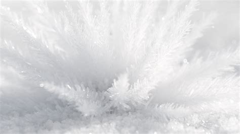 SkinCeuticals Holidays :: Behance