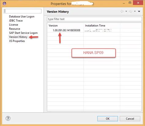 How To Identify Hana Db Version Sap Hana Tutorials