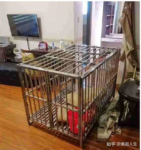 中国美女被绑架：关狗笼20天凌虐！目前已成功逃脱！ 知乎
