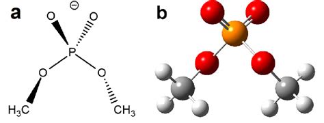 Structure Of Dimethyl Phosphate Dmp In Gauche Gauche Conformation Download Scientific