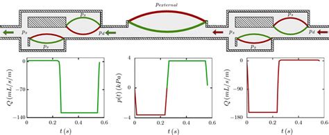 Employing The Diode Configuration Of The Dual Membrane Device In The