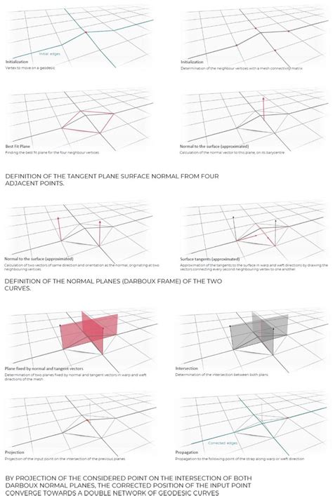 Geodesic Flow Procedure Download Scientific Diagram