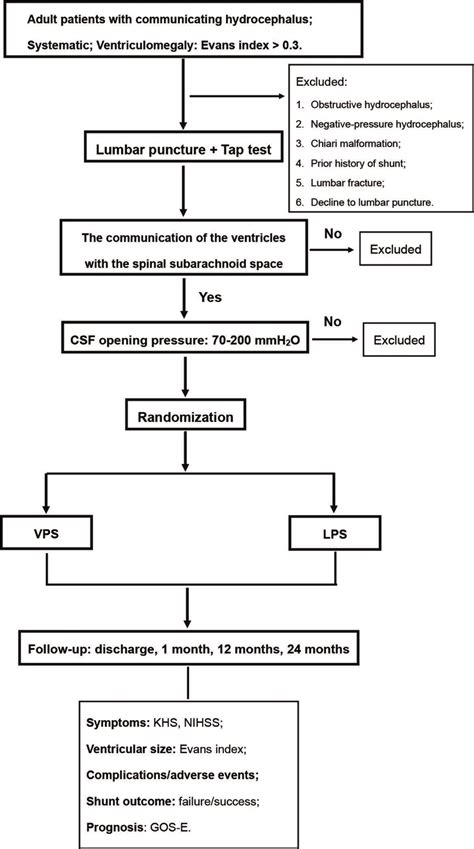 Flow Chart Of The Selection Of Patients Csf Cerebrospinal Fluid