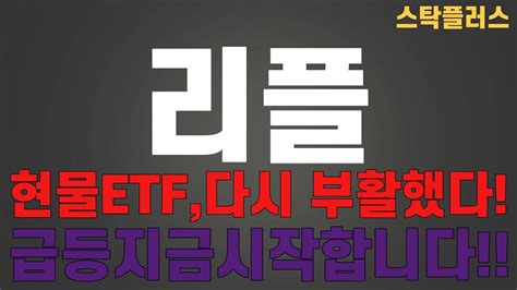 리플 긴급대응 현물etf다시 부활했다급등지금시작합니다 Youtube