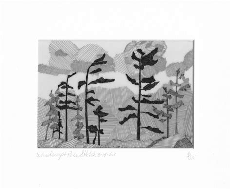 Windswept Pine Sketch