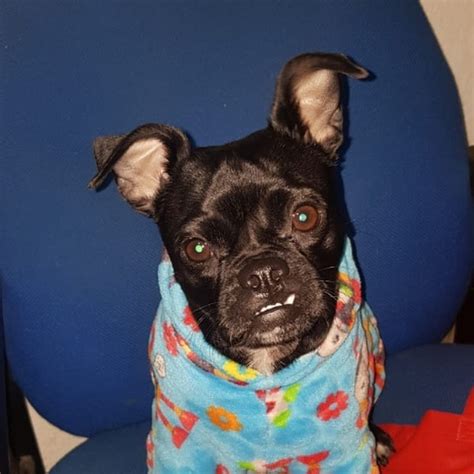 Heidicortesbaez Youtube