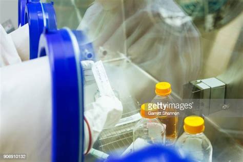 Lab Glove Box Photos And Premium High Res Pictures Getty Images