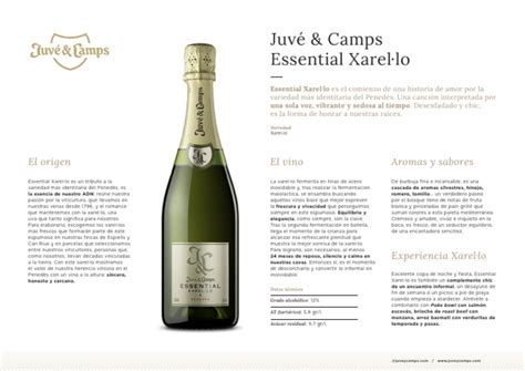Ficha De Cata Essential Xarel Lo Pdf Vino Uva