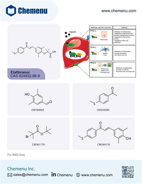 Elafibranor A New Ppar α δ Agonist For Pbc Yi Kuang Posted On The Topic Linkedin