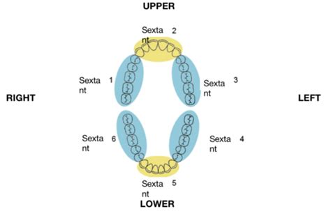 Sextants Flashcards Quizlet