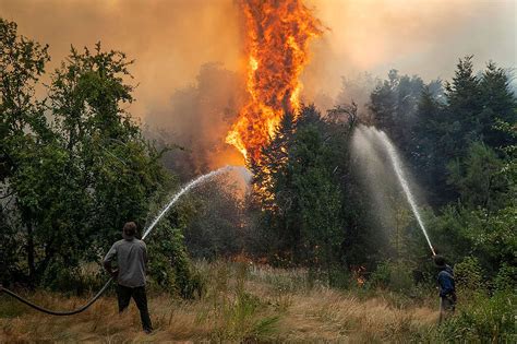 Se Cuadruplicó La Superficie De Bosques Patagónicos Afectada Por