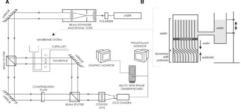 Scheme Of The Experimental Setup A For Interferometric Investigations Download Scientific