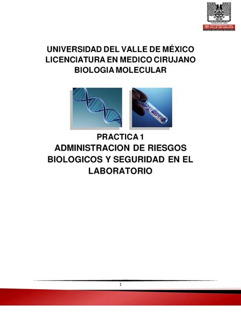 Practica Biologia Molecular UNIVERSIDAD DEL VALLE DE MÉXICO LICENCIATURA EN MEDICO CIRUJANO