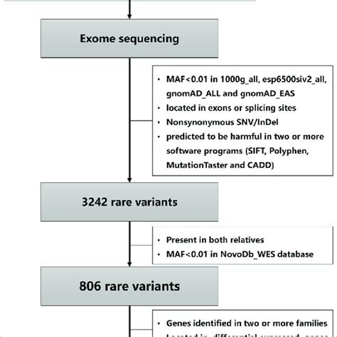 Candidate Rare Variants Identified By Exome Sequencing In The Five